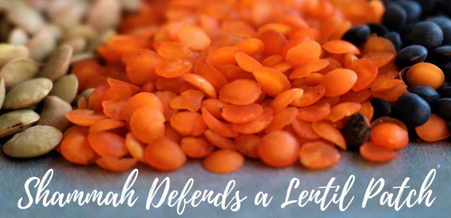 Defend Your Lentil Patches: Stand Up for Truth - No Longer Lukewarm