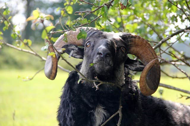 When You Aren’t Enough, Jehovah Jireh Is - No Longer Lukewarm